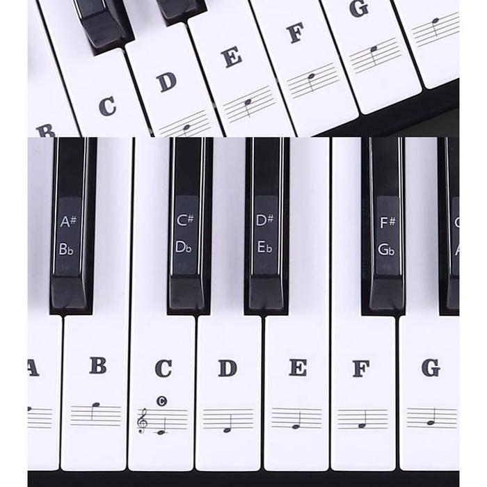 Reusable Piano Key Sticker Keyboard Stickers 37/49/54/61/88 Keys - Sabira
