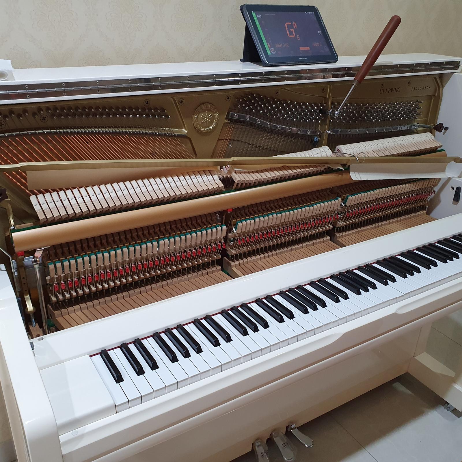 Stem Piano Tuning Service Profesional oleh Guru Piano Yamaha - Sabira