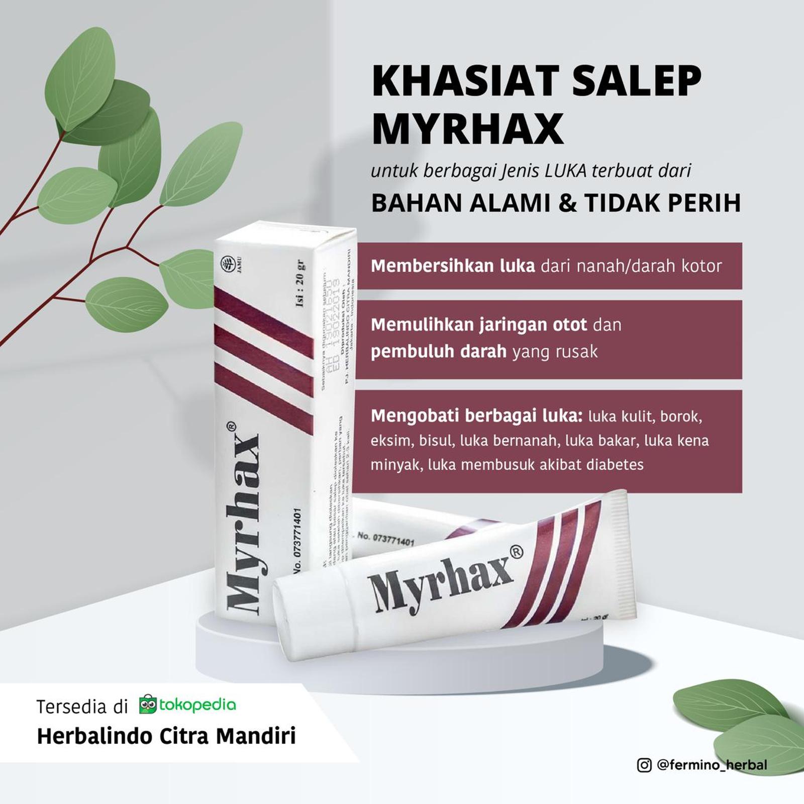 Myrhax Salep 20 Gr: Solusi Tuntas untuk Luka Diabetes, Bakar, Koreng ...