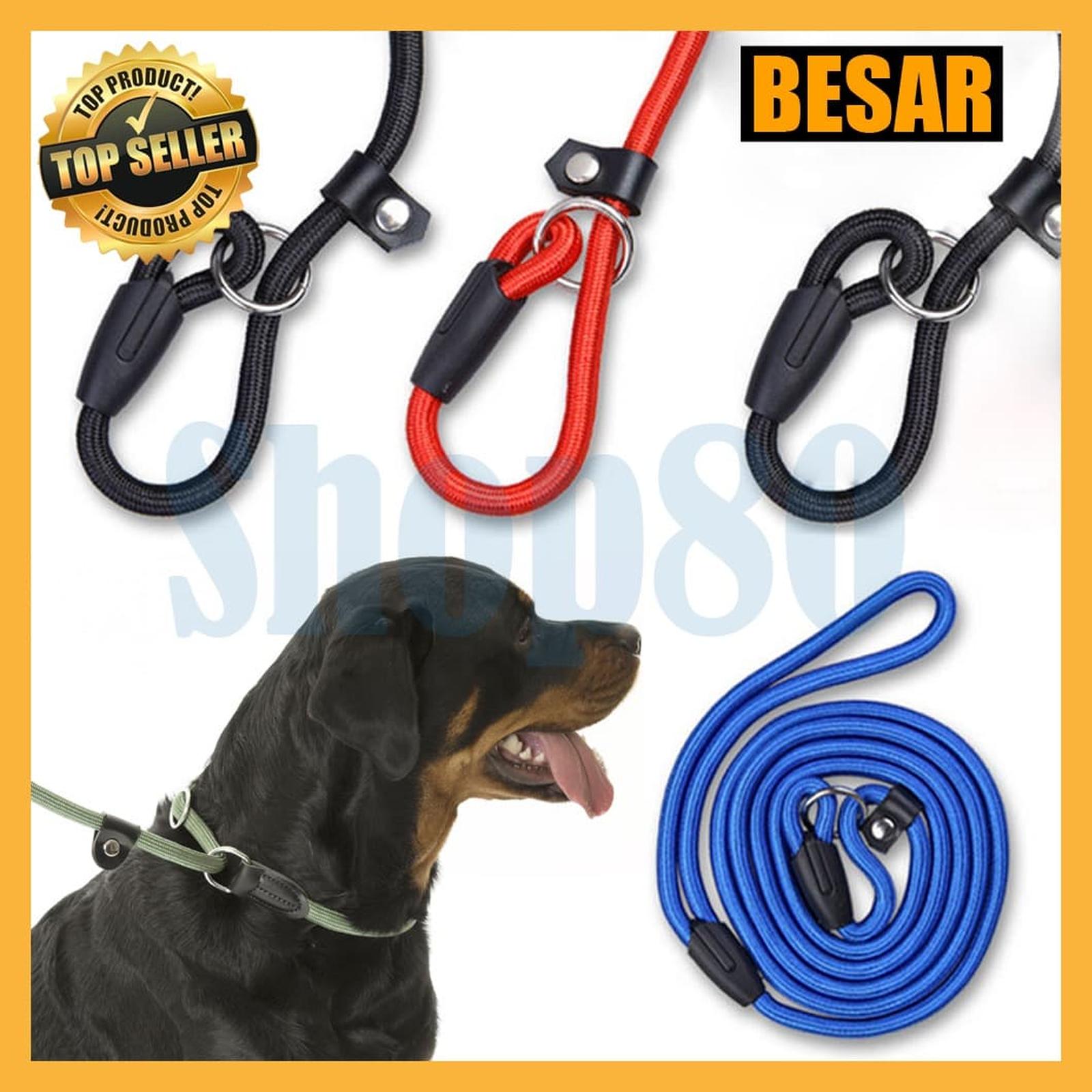 Slip Lead Cesar Milan Premium: Kontrol Lebih Baik untuk Anjing ...