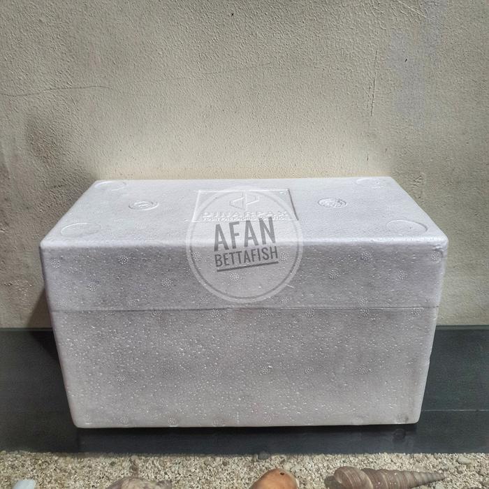 Styrofoam Box 2kg Premium untuk Pengiriman & Budidaya - Sabira