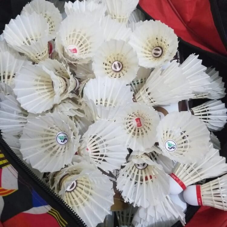 Shuttlecock Badminton Rekondisi Premium: Kualitas Mendekati Baru (80% ...
