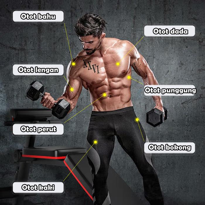 Sit Up Bench Adjustable Folding – Bangku Multifungsi untuk Gym Rumahan ...